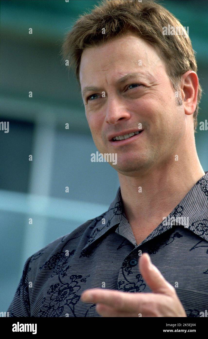 Gary sinise director hi-res stock photography and images - Alamy