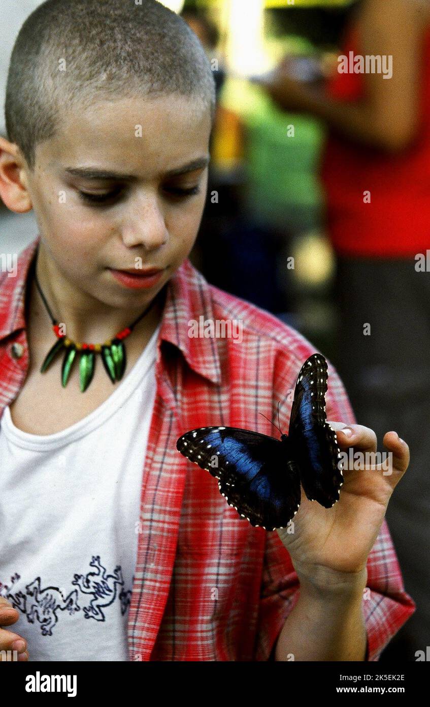 MARC DONATO, THE BLUE BUTTERFLY, 2004 Stock Photo - Alamy
