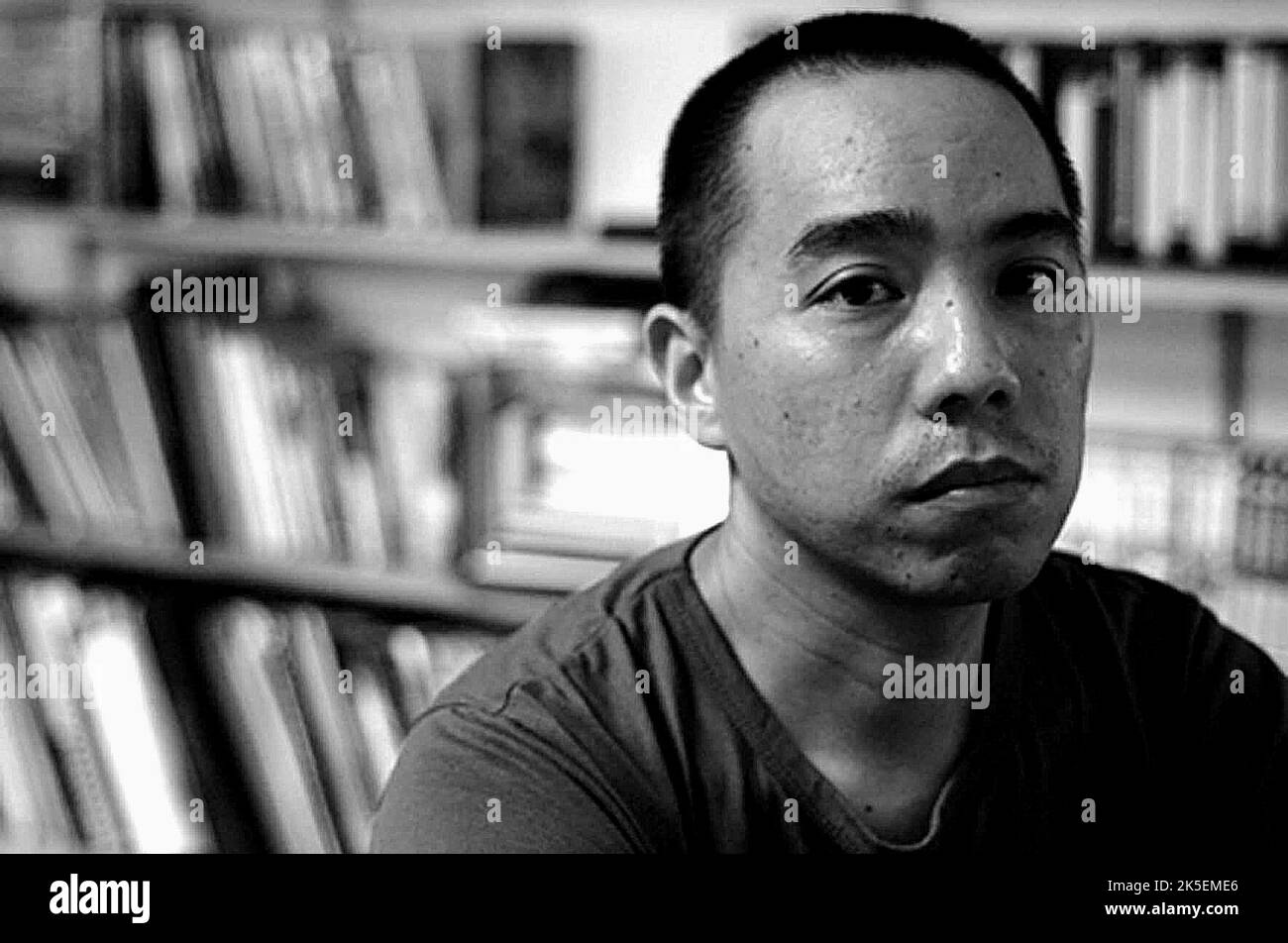 SAKDA KAEWBAUDEE, TROPICAL MALADY, 2004 Stock Photo - Alamy