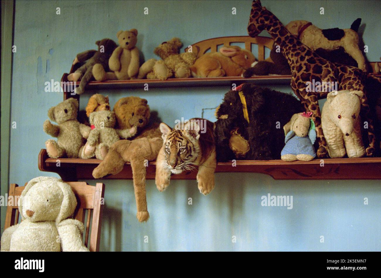 SANGHA THE TIGER CUB, TWO BROTHERS, 2004 Stock Photo - Alamy