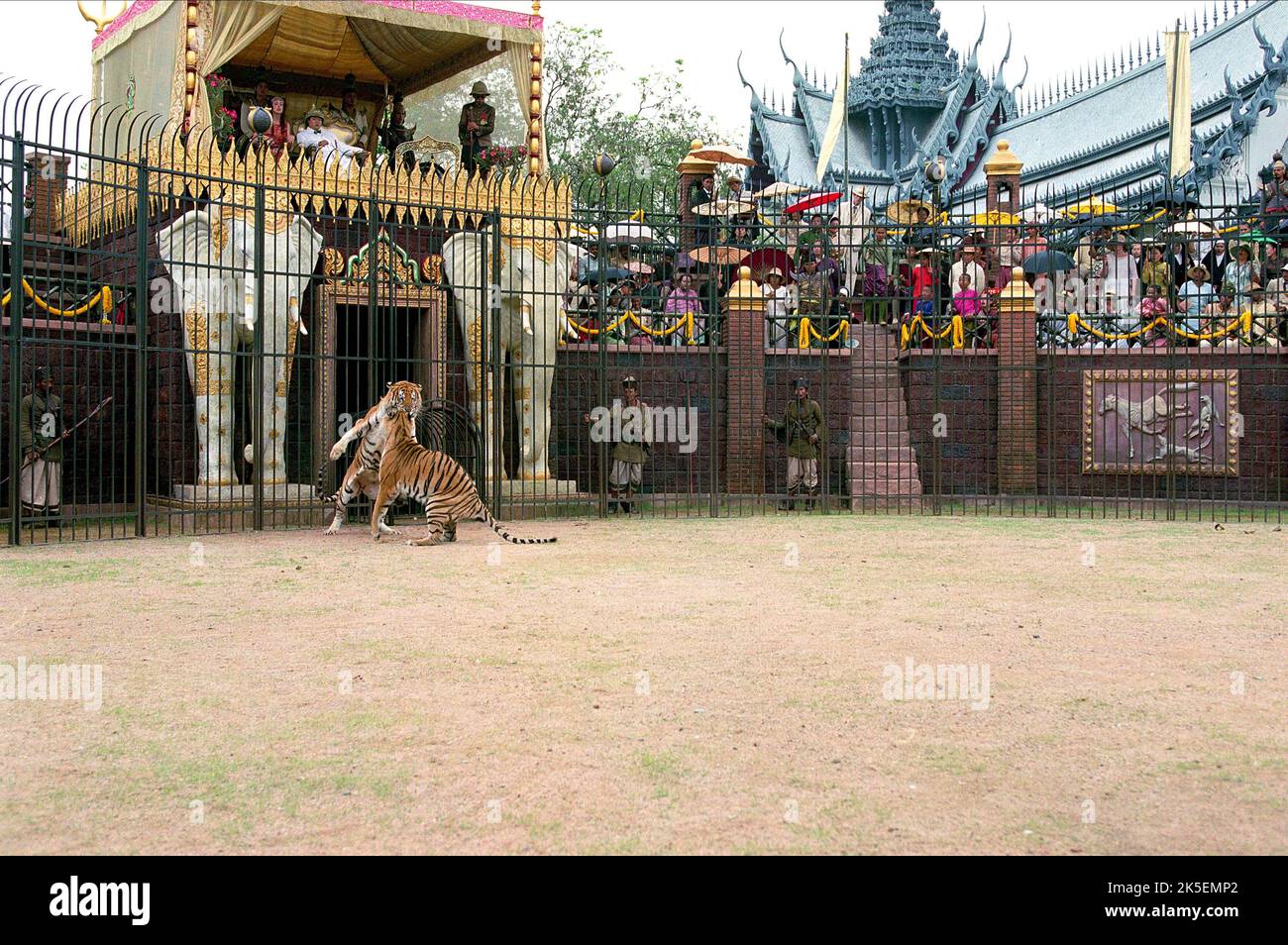 KUMAL, SANGHA THE TIGERS, TWO BROTHERS, 2004 Stock Photo - Alamy
