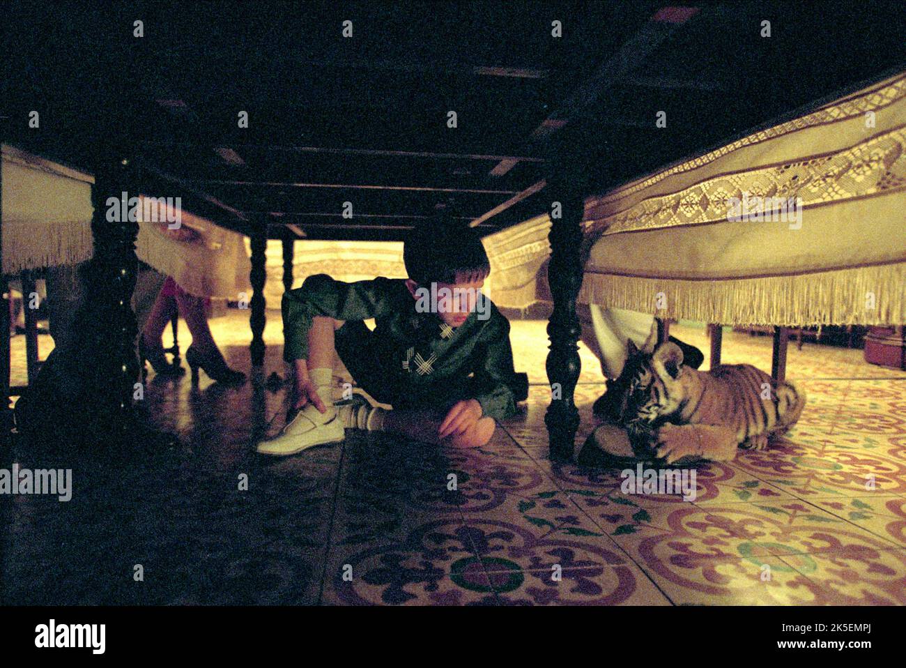 FREDDIE HIGHMORE, TIGER CUB, TWO BROTHERS, 2004 Stock Photo - Alamy