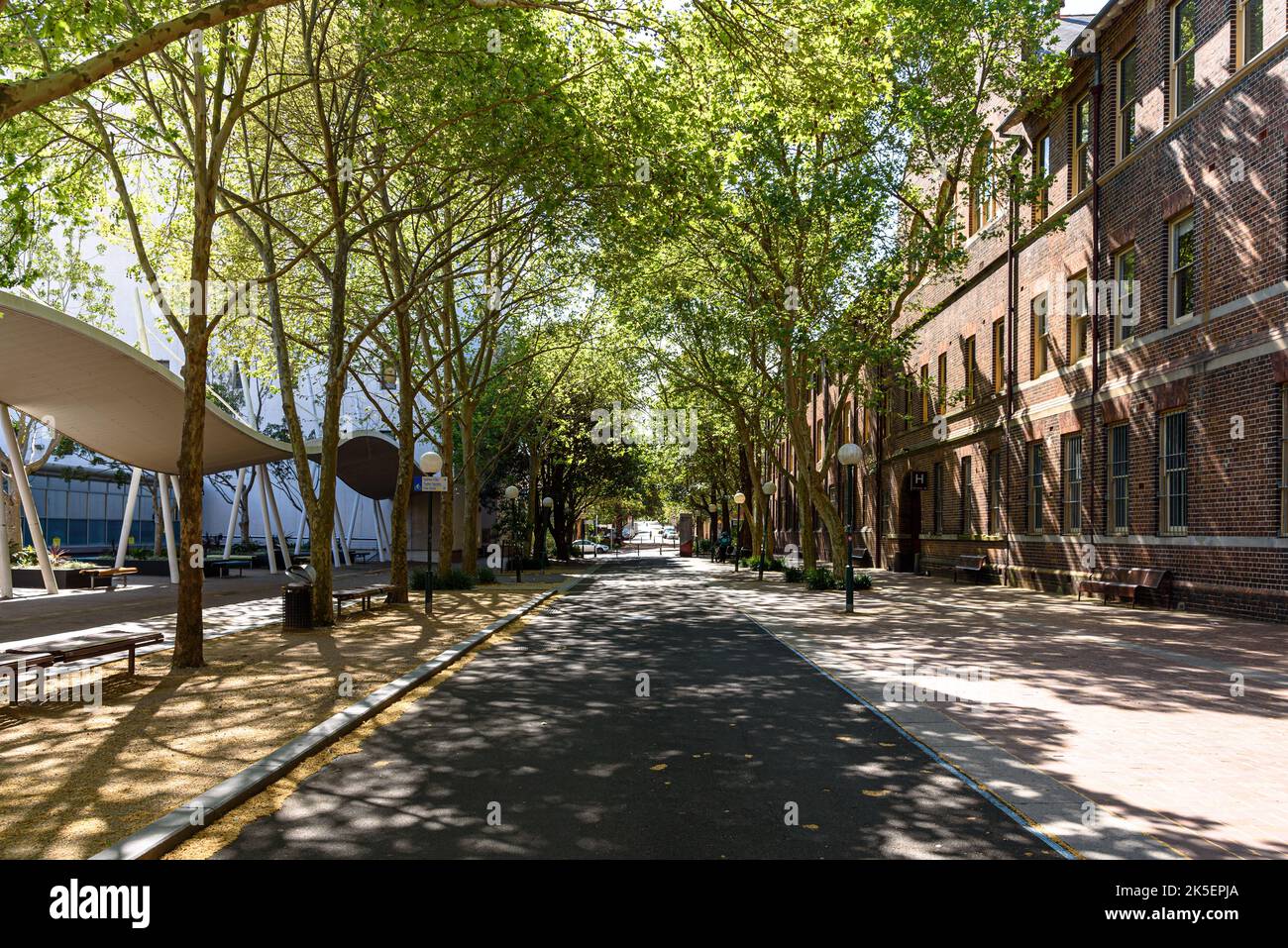 Jones Street at the TAFE NSW - Ultimo campus Stock Photo - Alamy