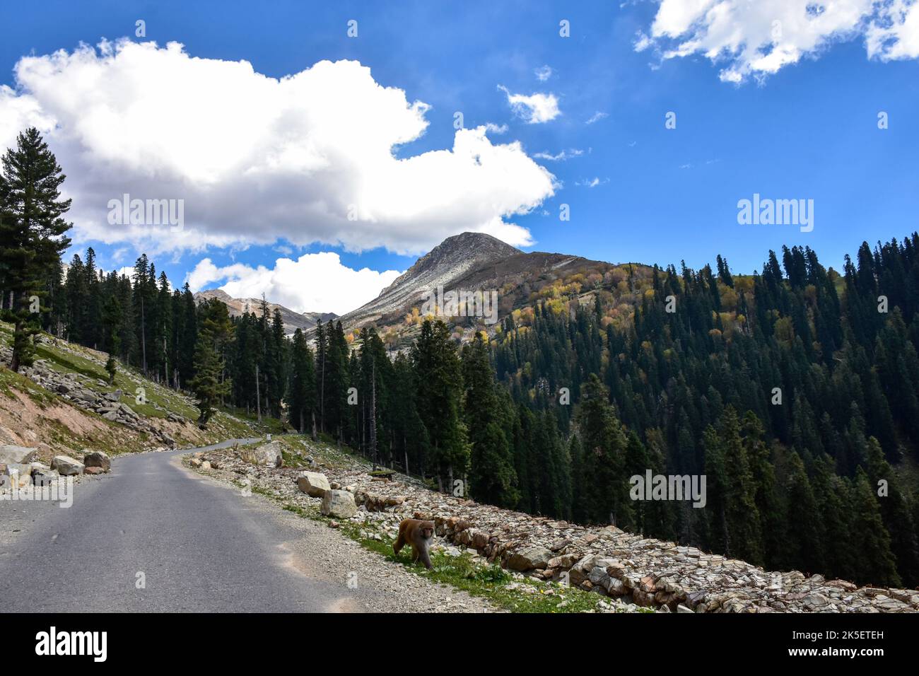 Sinthan top hi-res stock photography and images - Alamy