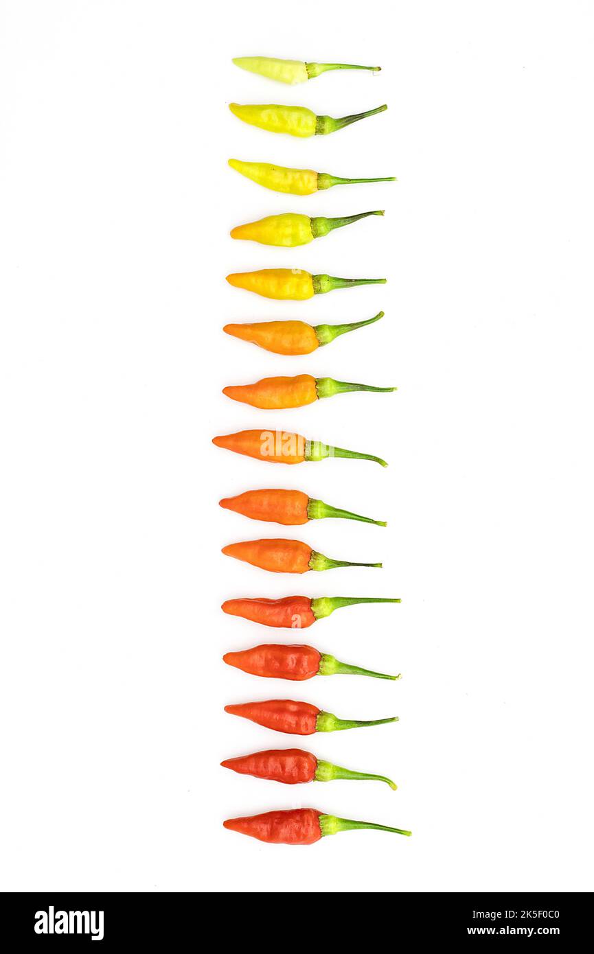 Chilli isolated top view hi-res stock photography and images - Alamy