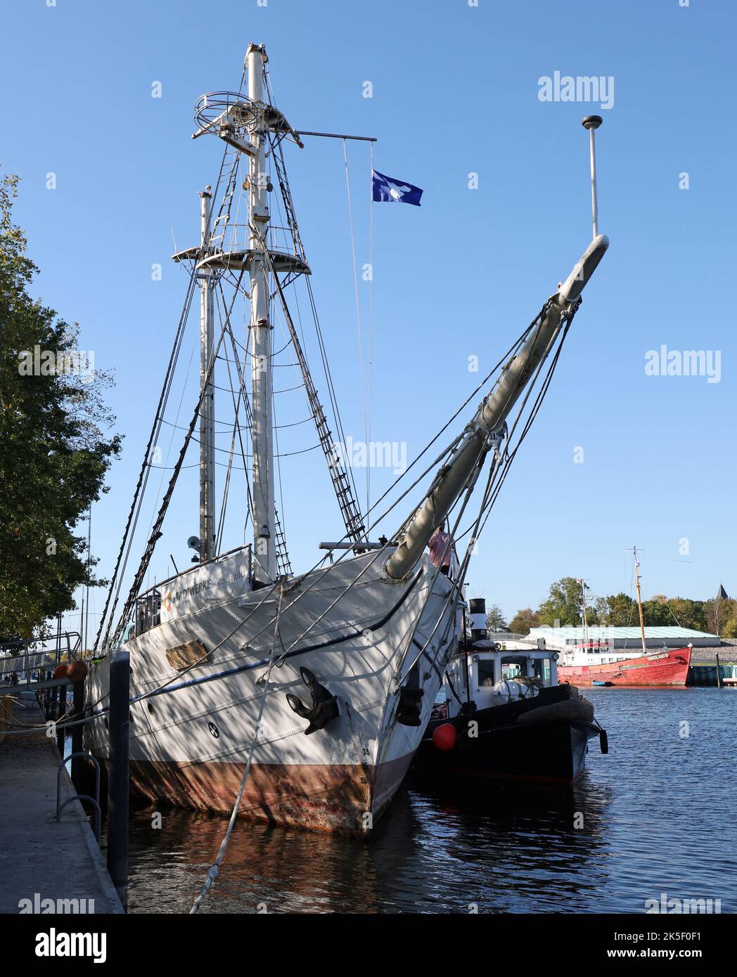 Greif 10 hi-res stock photography and images - Alamy