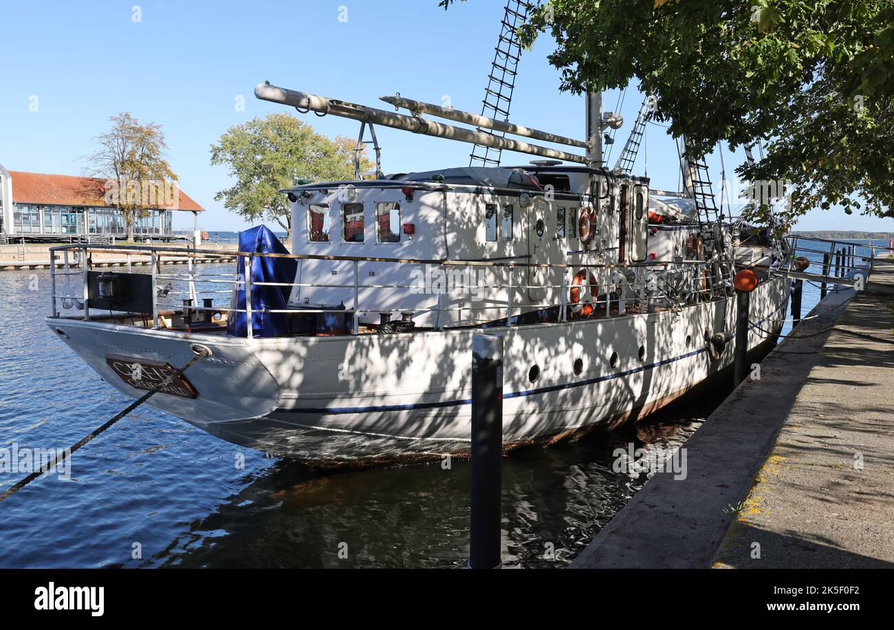 Greif 10 hi-res stock photography and images - Alamy