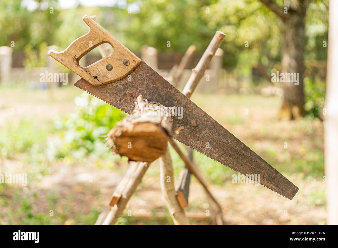 Handsaw house tree hi-res stock photography and images - Alamy