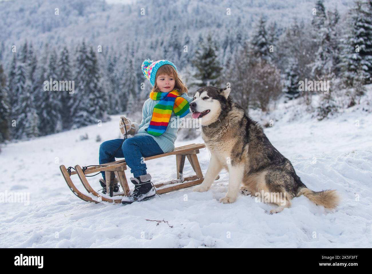 Cute boy with dog enjoying a sleigh ride. Child sledding, riding a ...