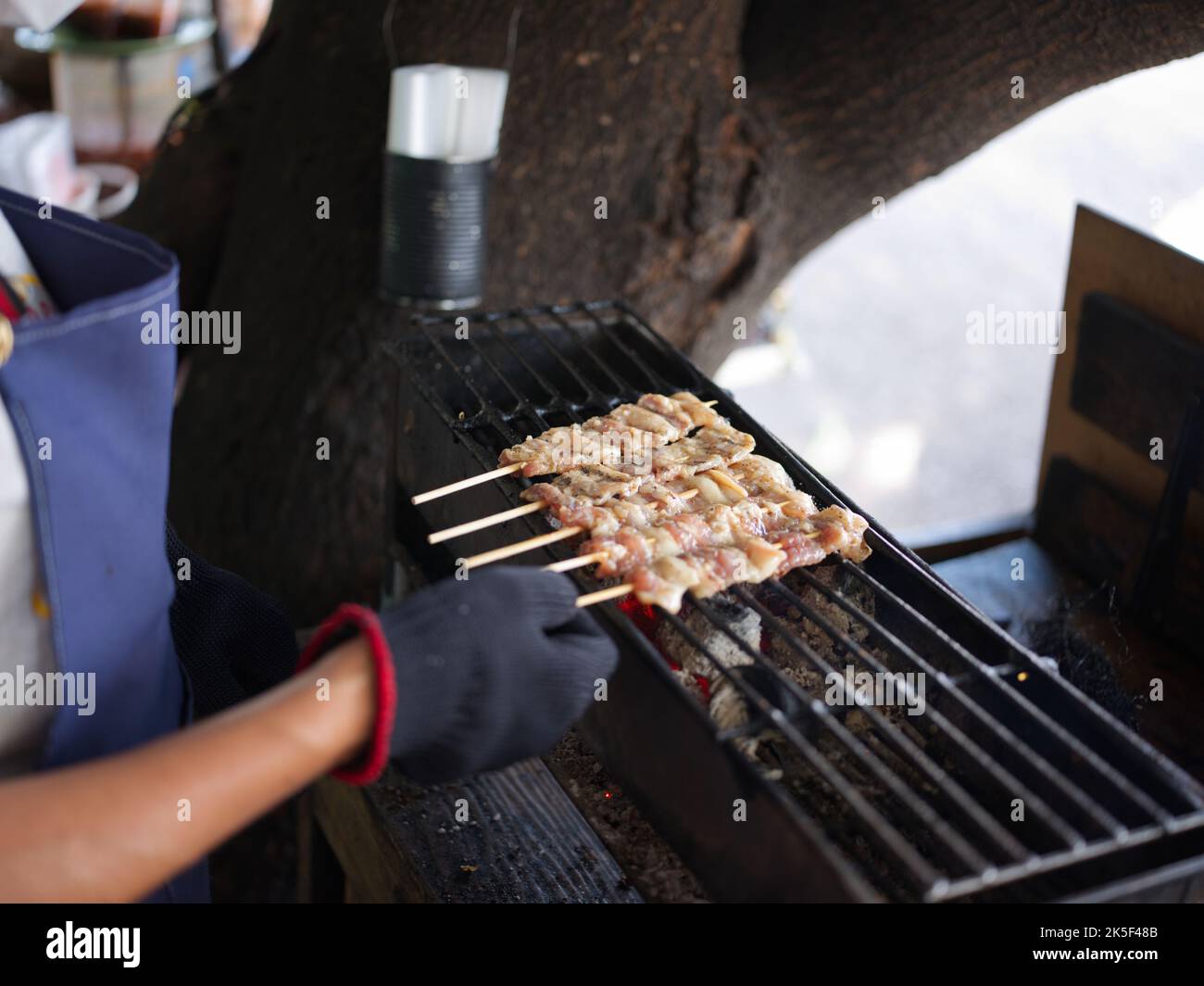 Hand holding grilled pork sticks on fire flaming in steel stove vintage ...