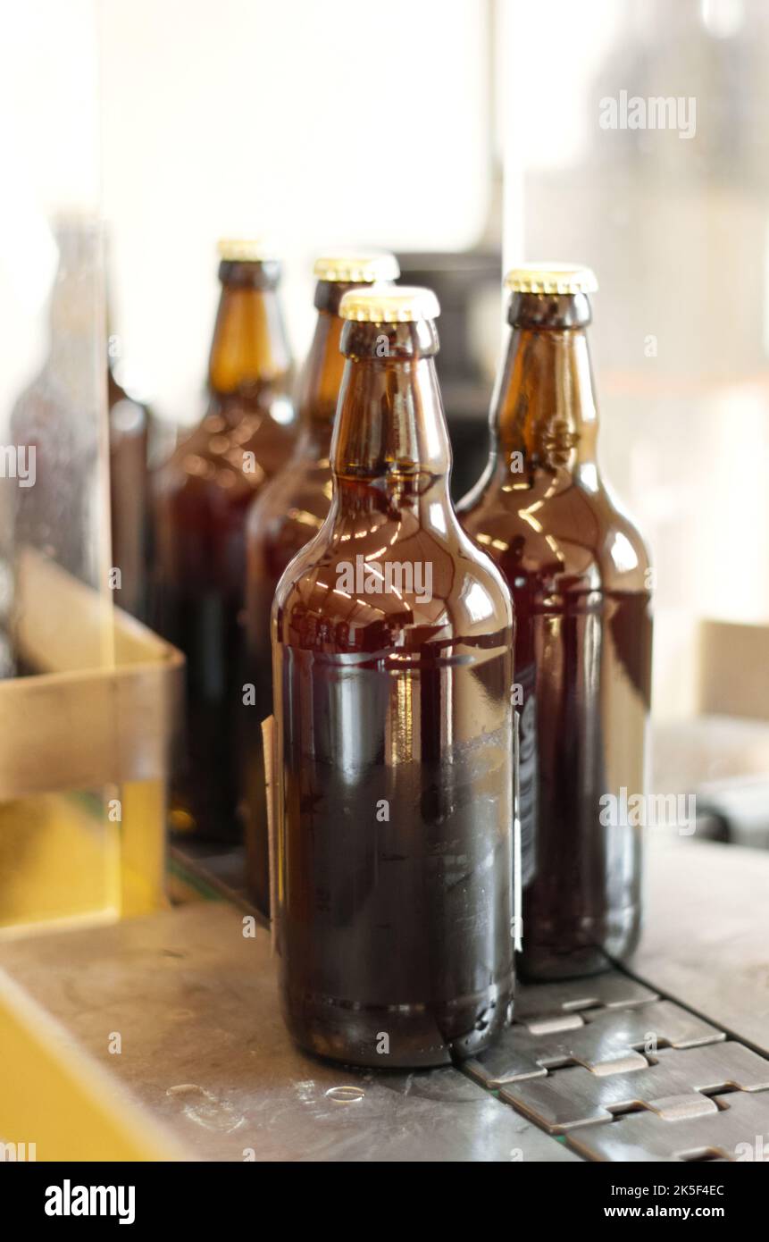A delicious new brew. beer bottles on a production line at a brewery ...