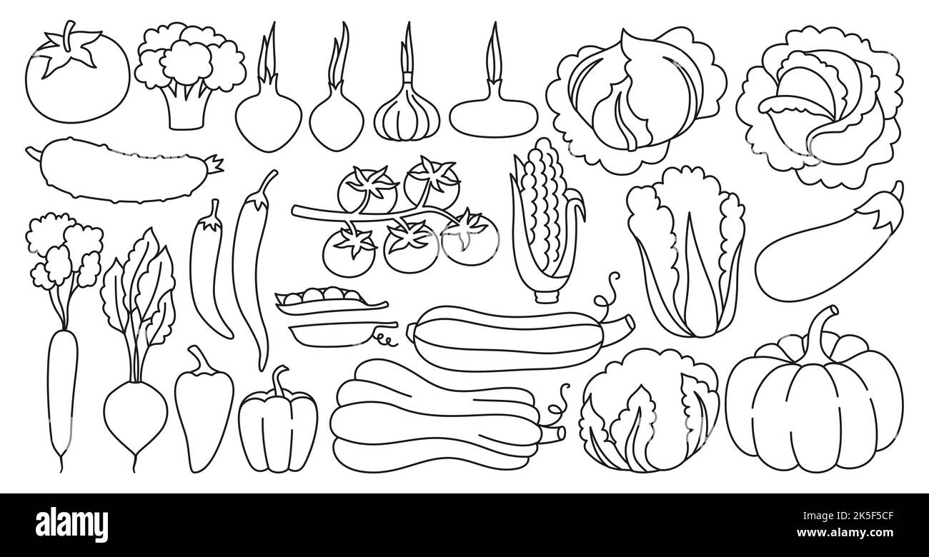 Vegetables sign linear set. Healthy diet food farm product veggies ...