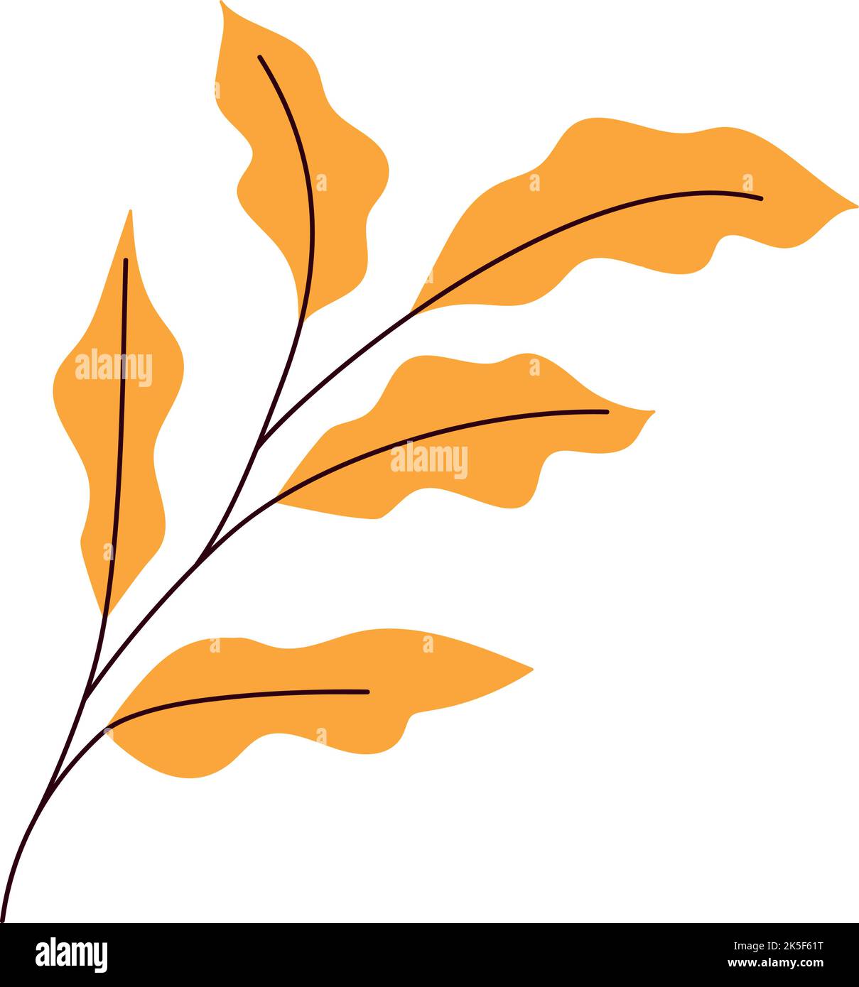 fall plant illustration Stock Vector Image & Art - Alamy