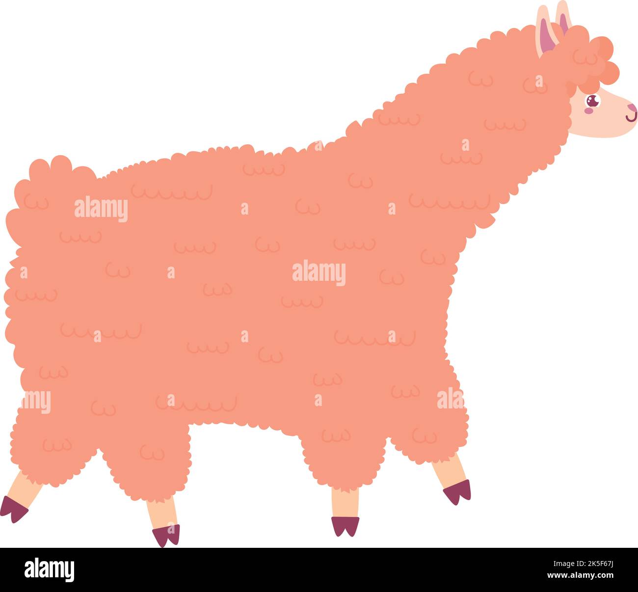 sweet colored llama Stock Vector Image & Art - Alamy