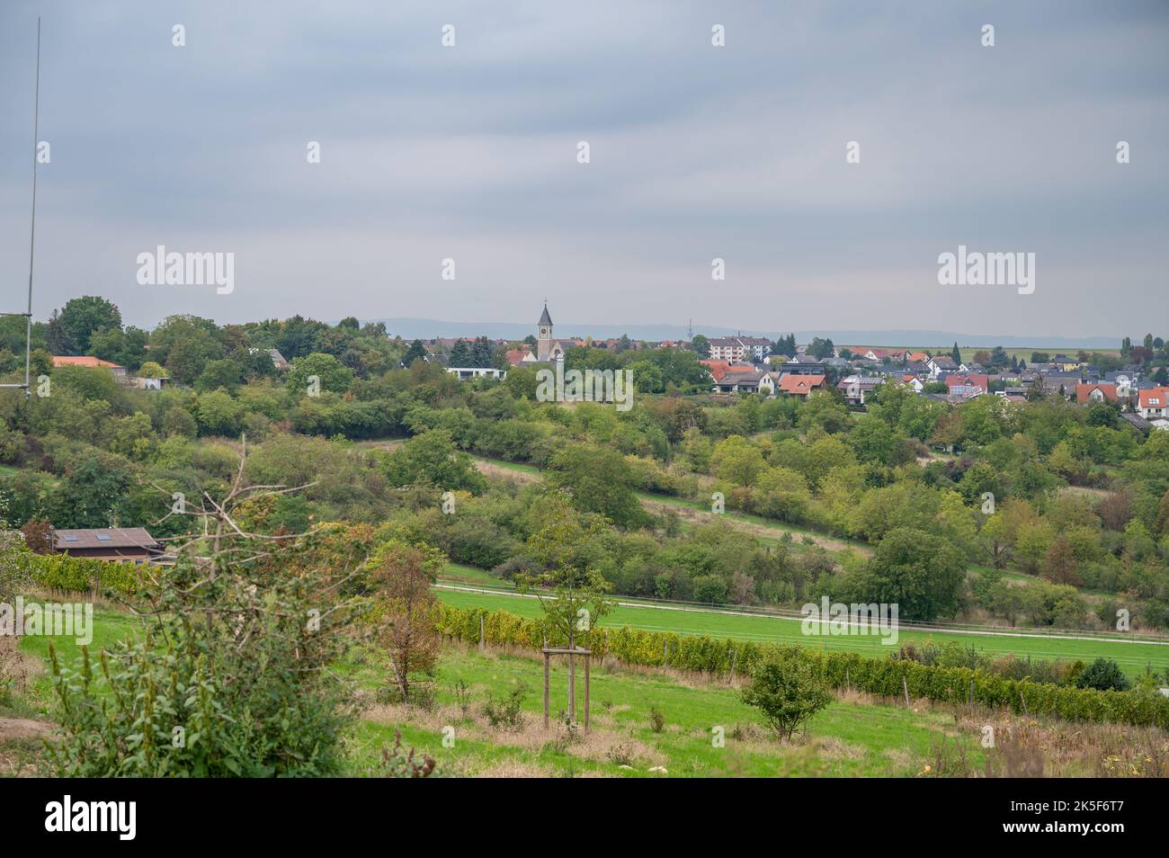 A scenic view of green trees and residential buildings under the gloomy ...