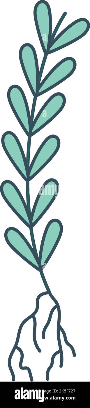 plant branch design Stock Vector Image & Art - Alamy