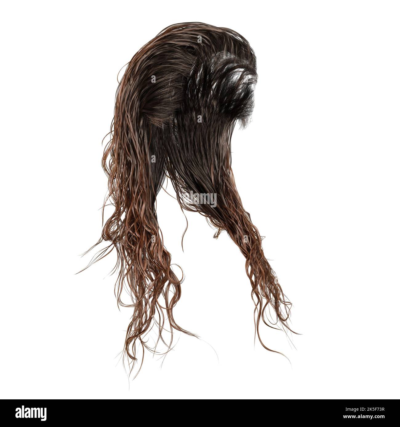 Fantasy long wet hair on isolated white background, 3D render, 3D ...