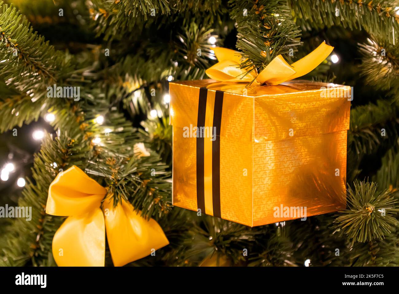Large golden color box hi-res stock photography and images - Alamy
