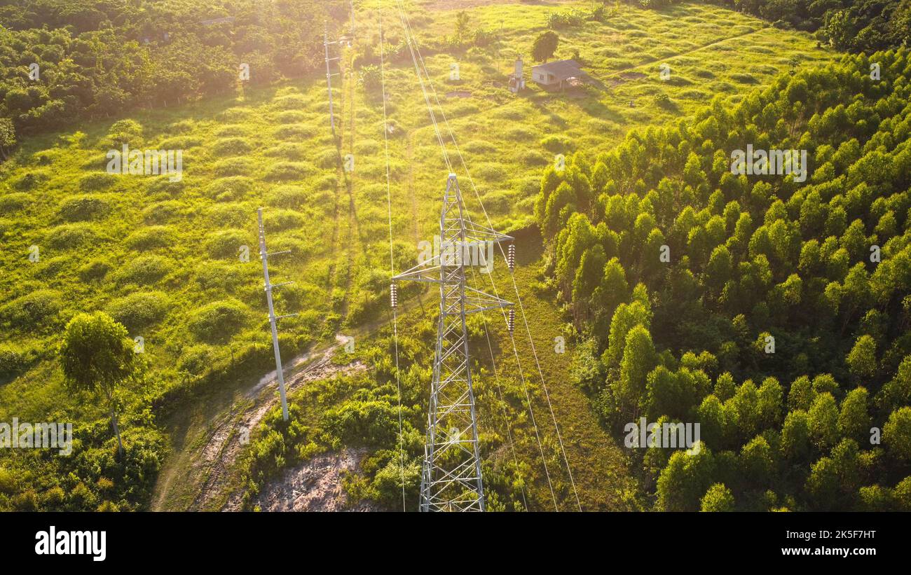 Aerial view of high voltage pylons and power lines near a eucalyptus ...