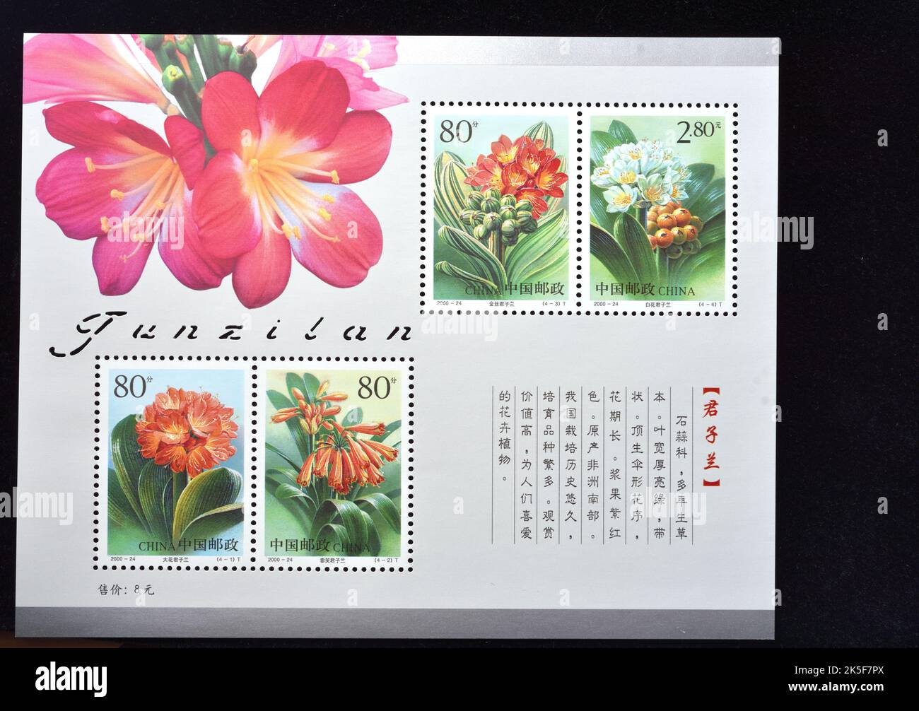 CHINA - CIRCA 2000: A stamp printed in China shows 2000-24, Scott 3070 ...