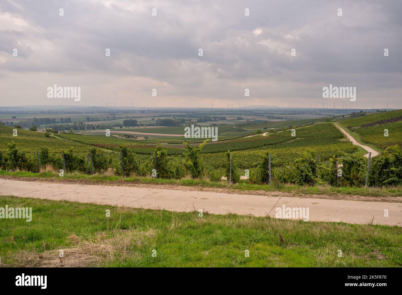 A scenic view of a vineyard and agricultural fields under the gloomy ...