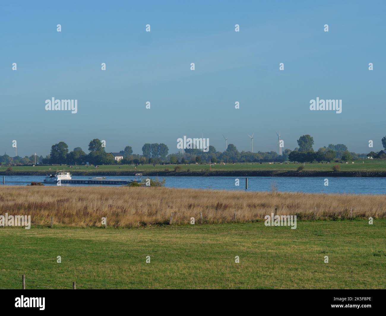 the village of grieth at the river rhine Stock Photo - Alamy