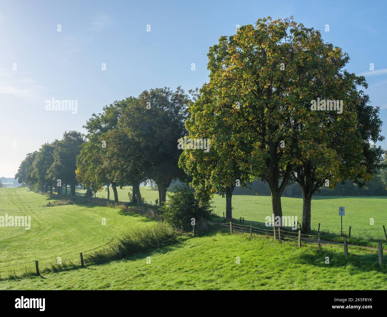the village of grieth at the river rhine Stock Photo - Alamy