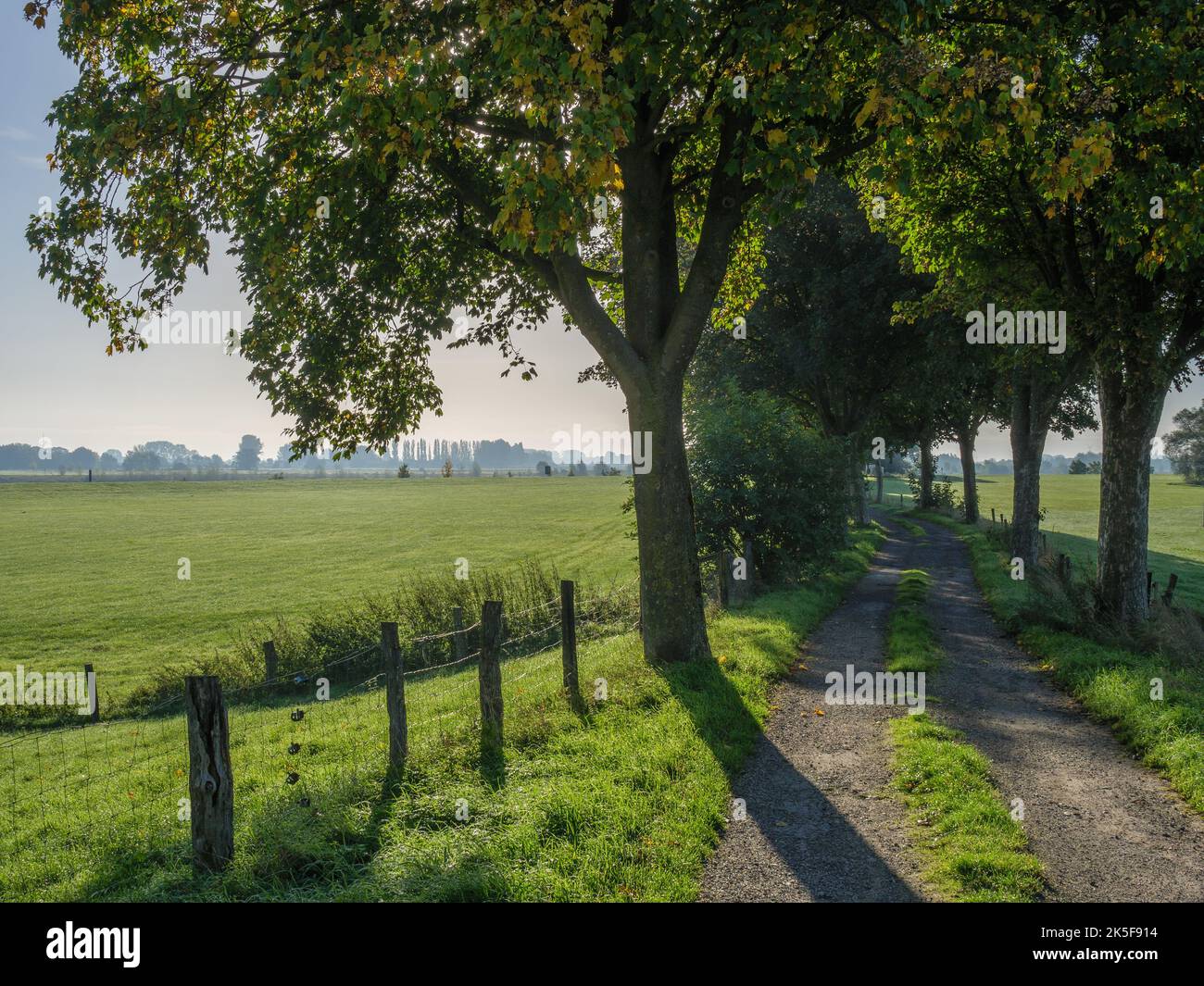 the village of grieth at the river rhine Stock Photo - Alamy