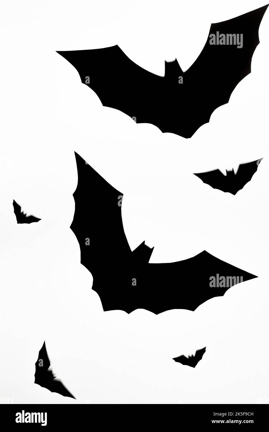 Halloween concept, Silhouette of flying horror big black bat halloween ...