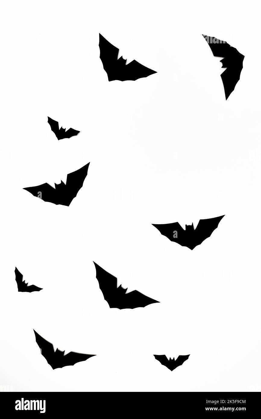 Halloween decorations concept, Silhouette of flying horror bat ...