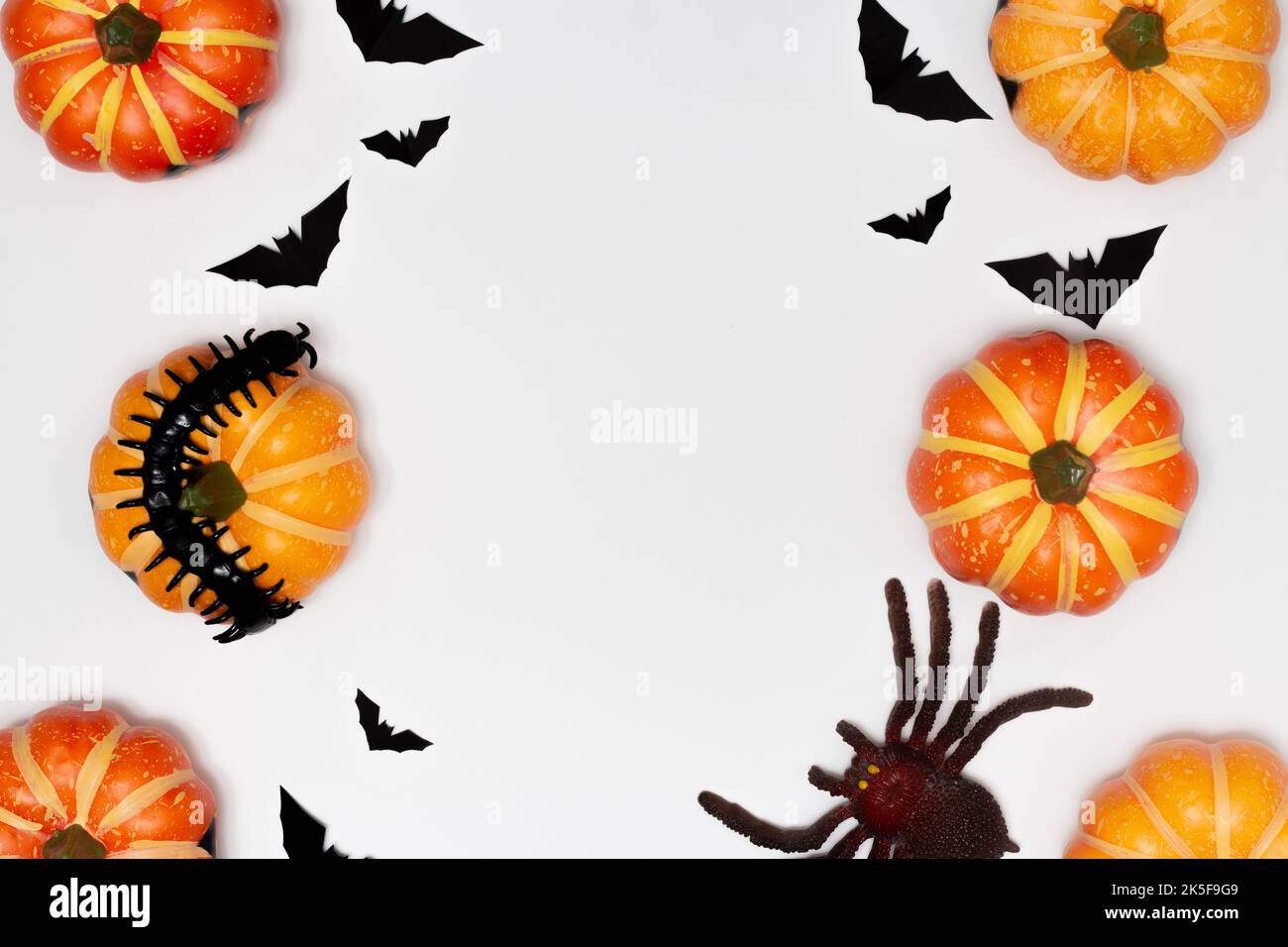 Halloween concept, Scary smile pumpkin with centipede and spider with ...