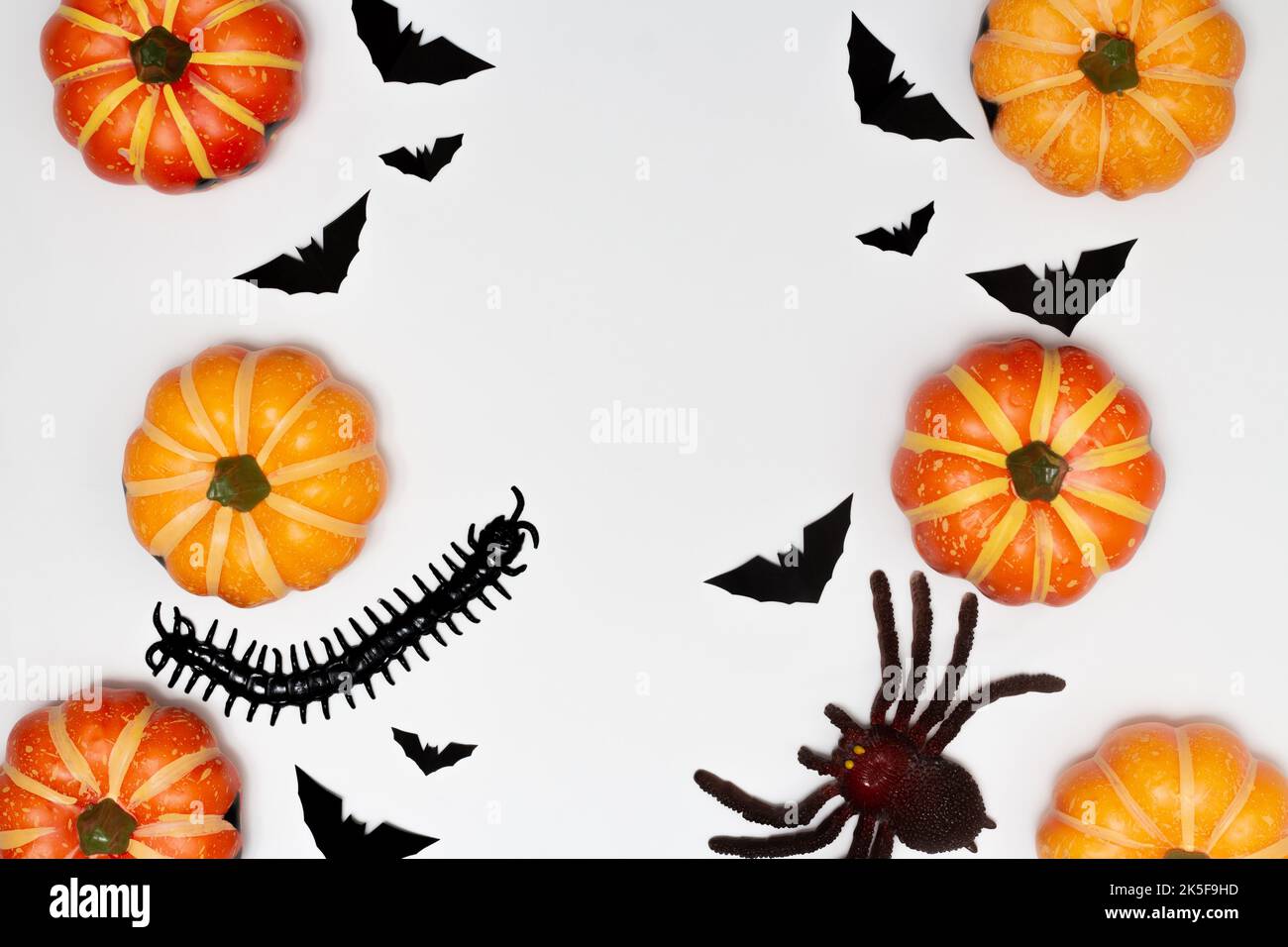 Halloween concept, Scary smile pumpkin with centipede and spider with ...