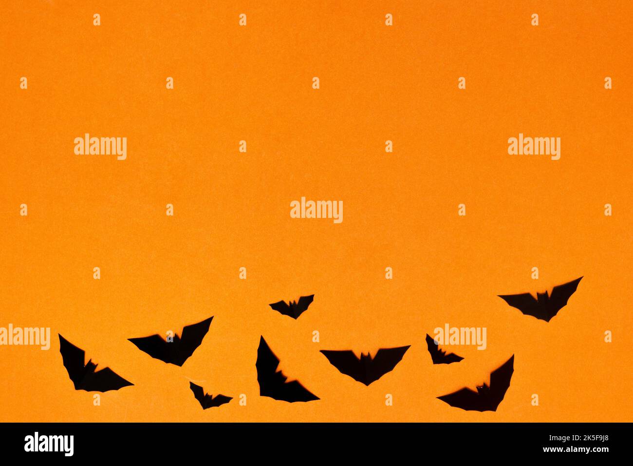 Halloween concept, Silhouette of flying horror black bat halloween ...