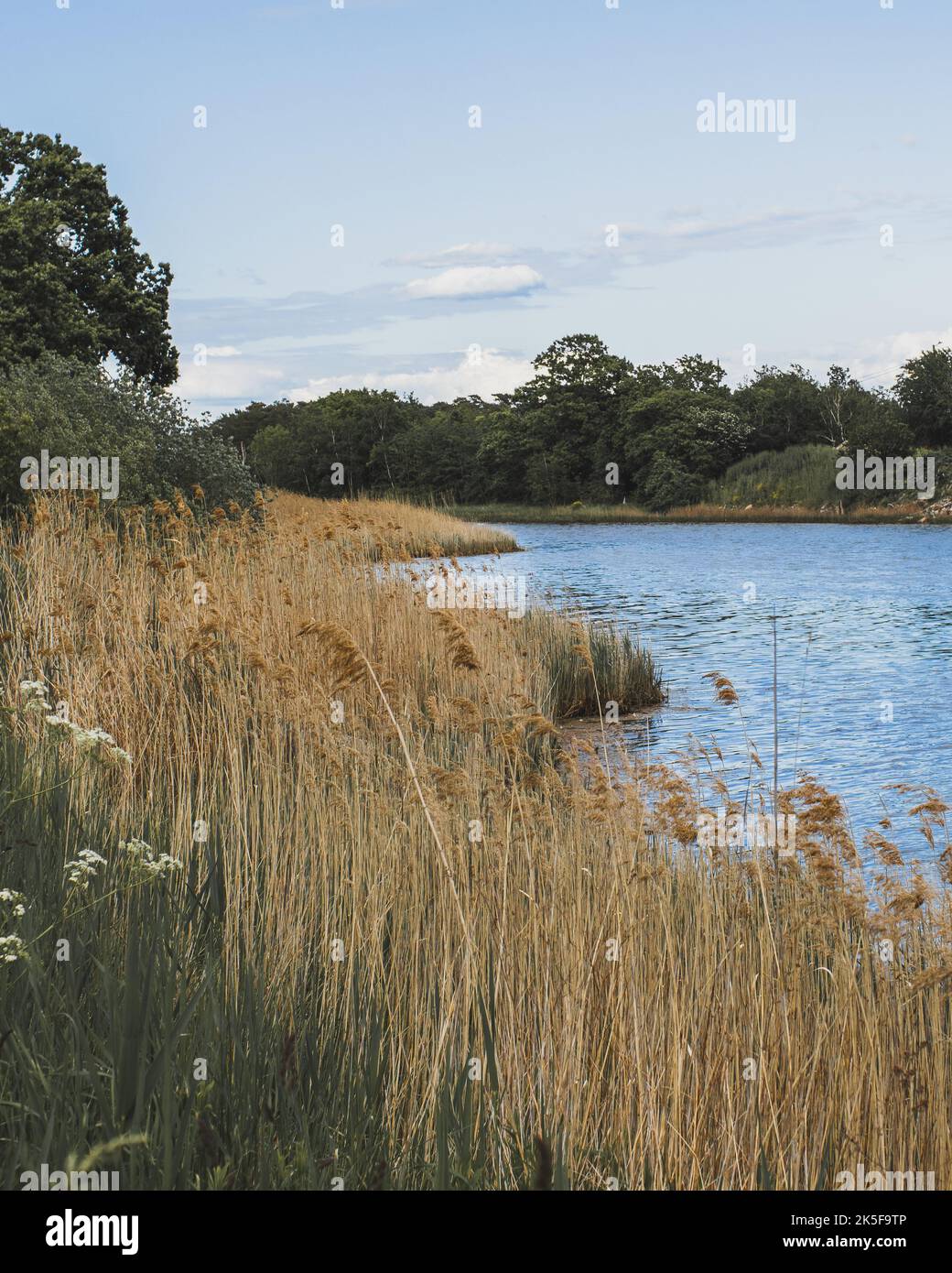 A vertical of a natural scenery of grassland surrounding a river Stock ...