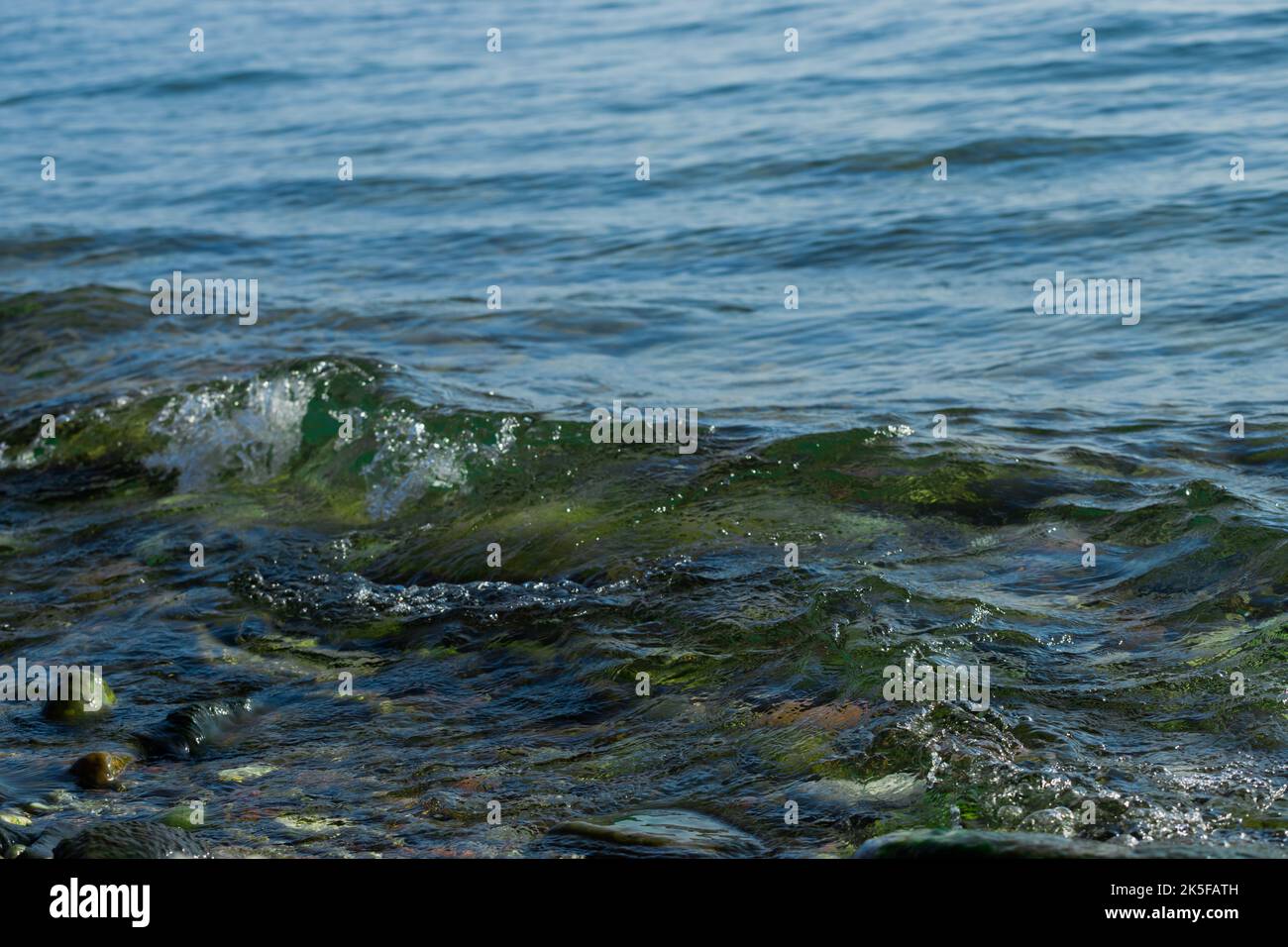 A wave of pure transparent blue water. Natural background, ocean and ...