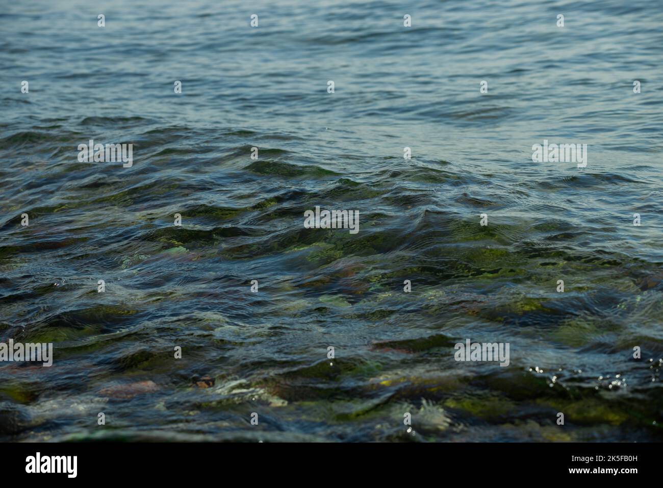 A wave of pure transparent blue water. Natural background, ocean and ...