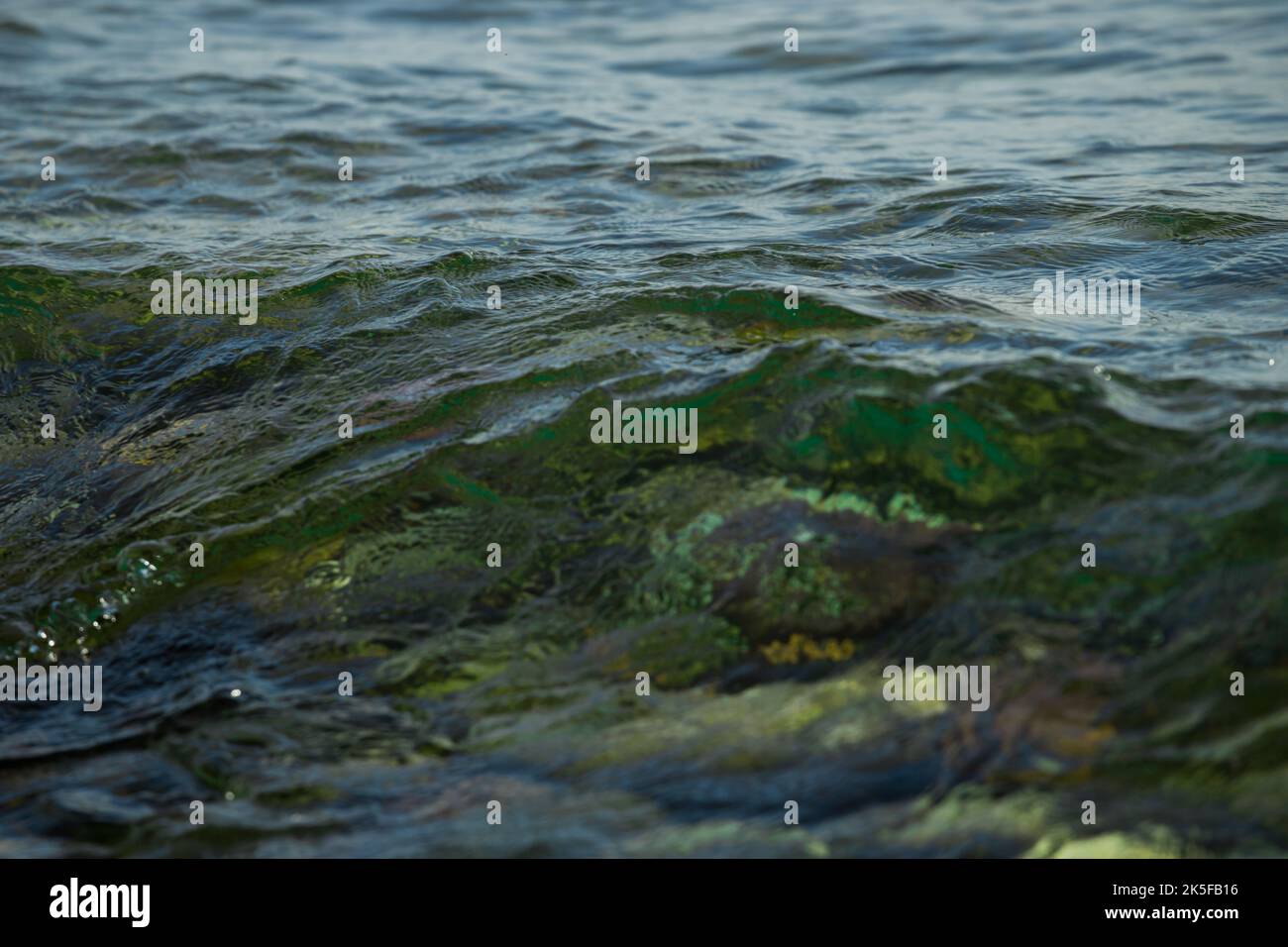 A wave of pure transparent blue water. Natural background, ocean and ...