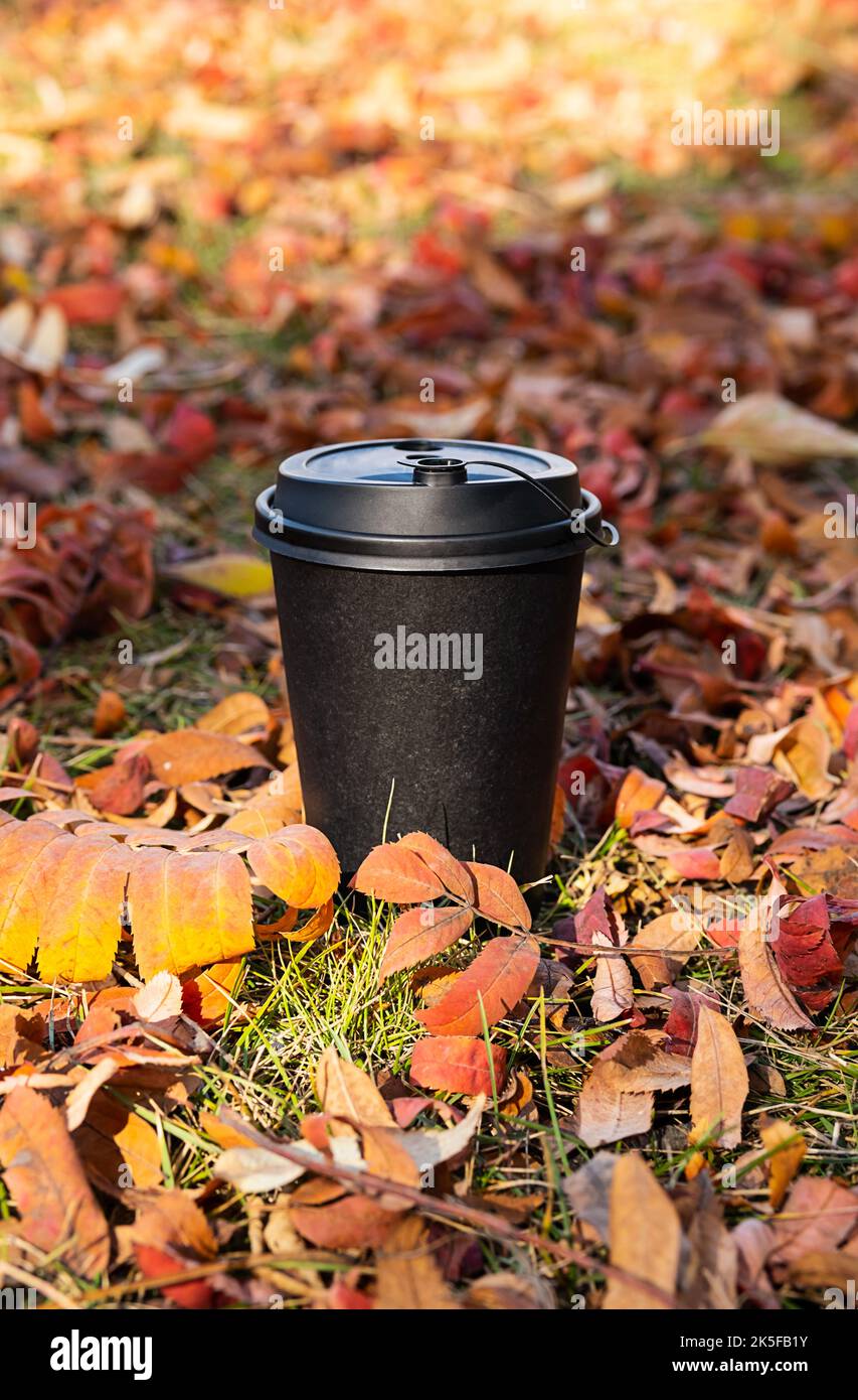 Mock up paper coffee cup against autumn coloured leaves. Disposable ...