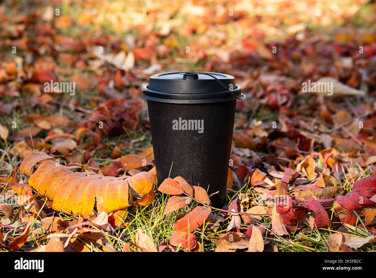 Mock up paper coffee cup against autumn coloured leaves. Disposable ...