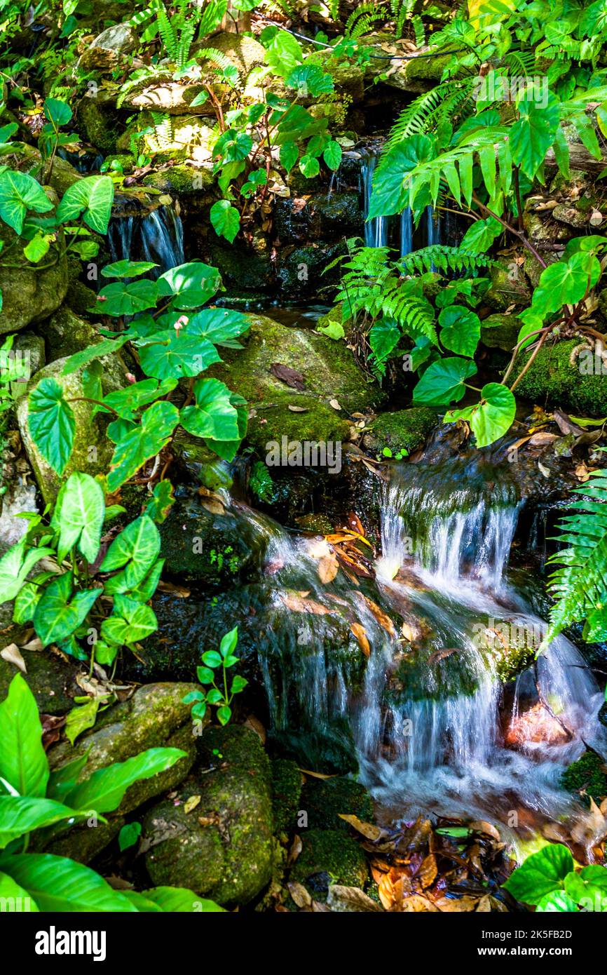 A waterfall inside a greenhouse garden at Bhubing Palace, Thailand ...