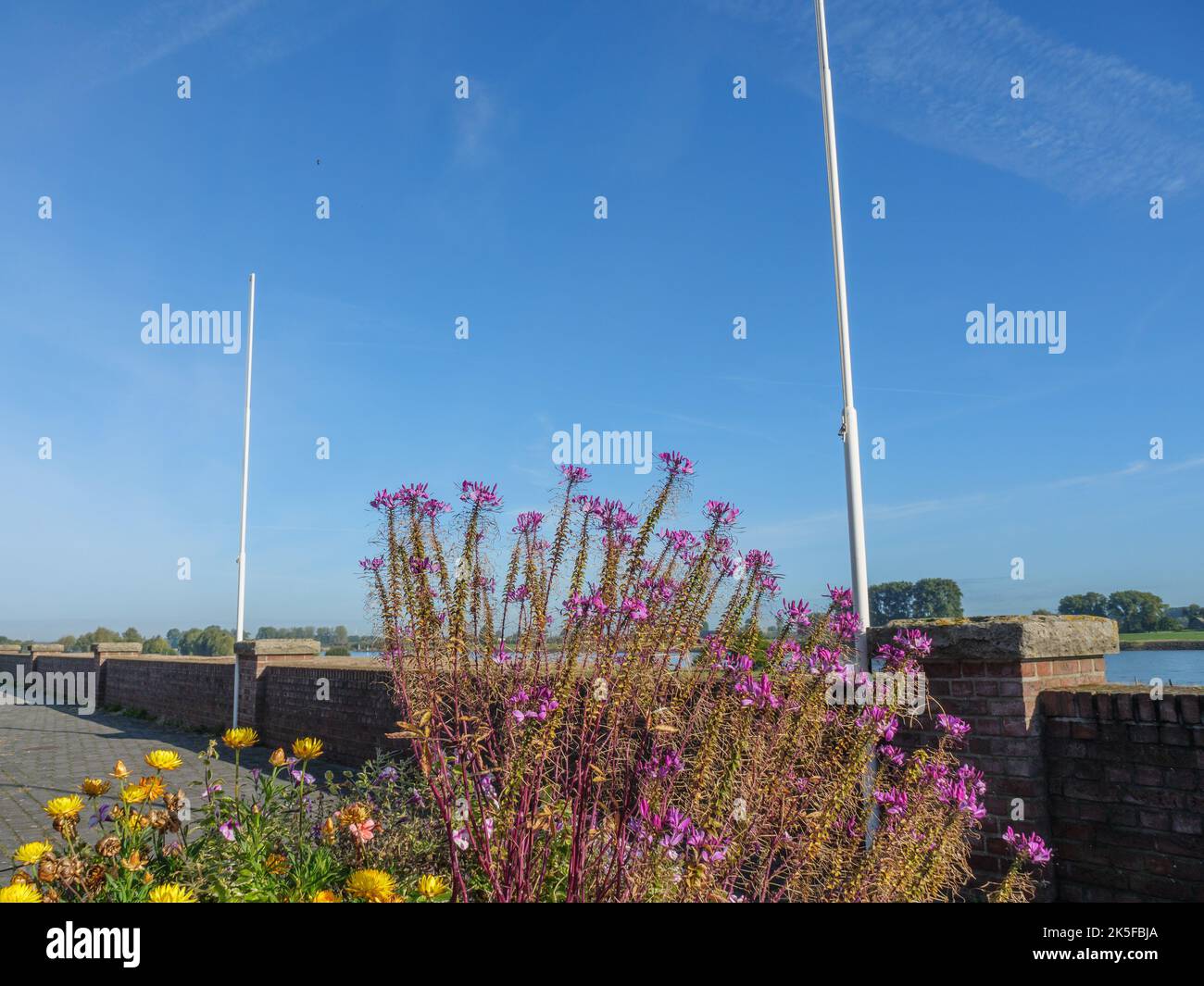 the village of grieth at the river rhine Stock Photo - Alamy