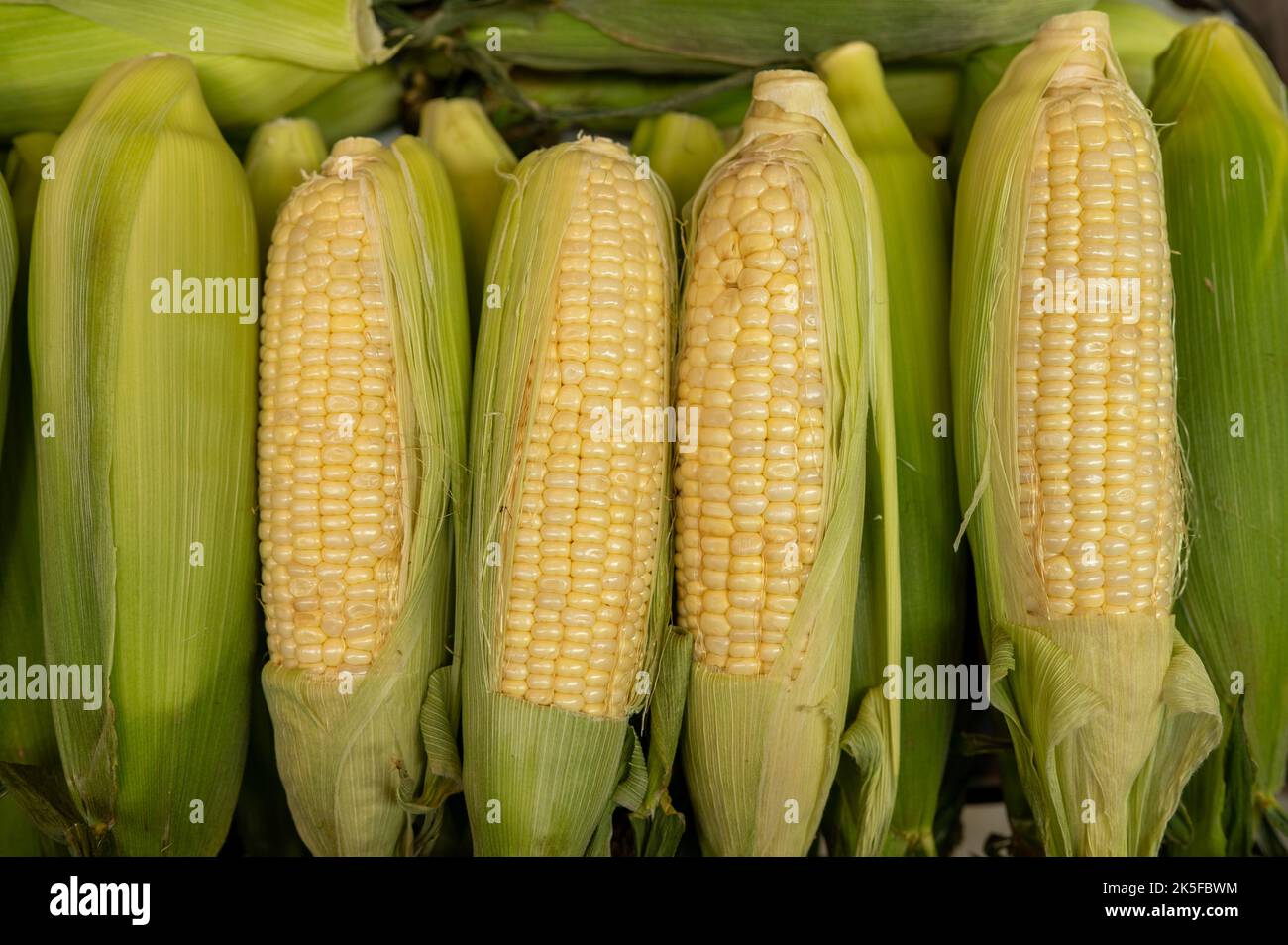 From above close up shot hi-res stock photography and images - Alamy