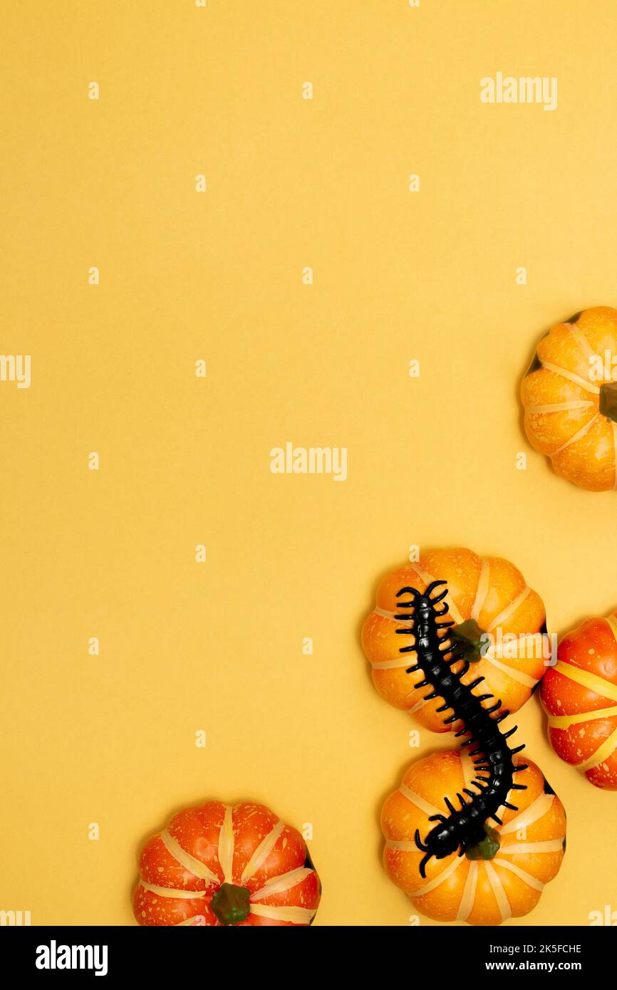 Halloween symbol concept, Centipede on scary smile pumpkin over yellow ...