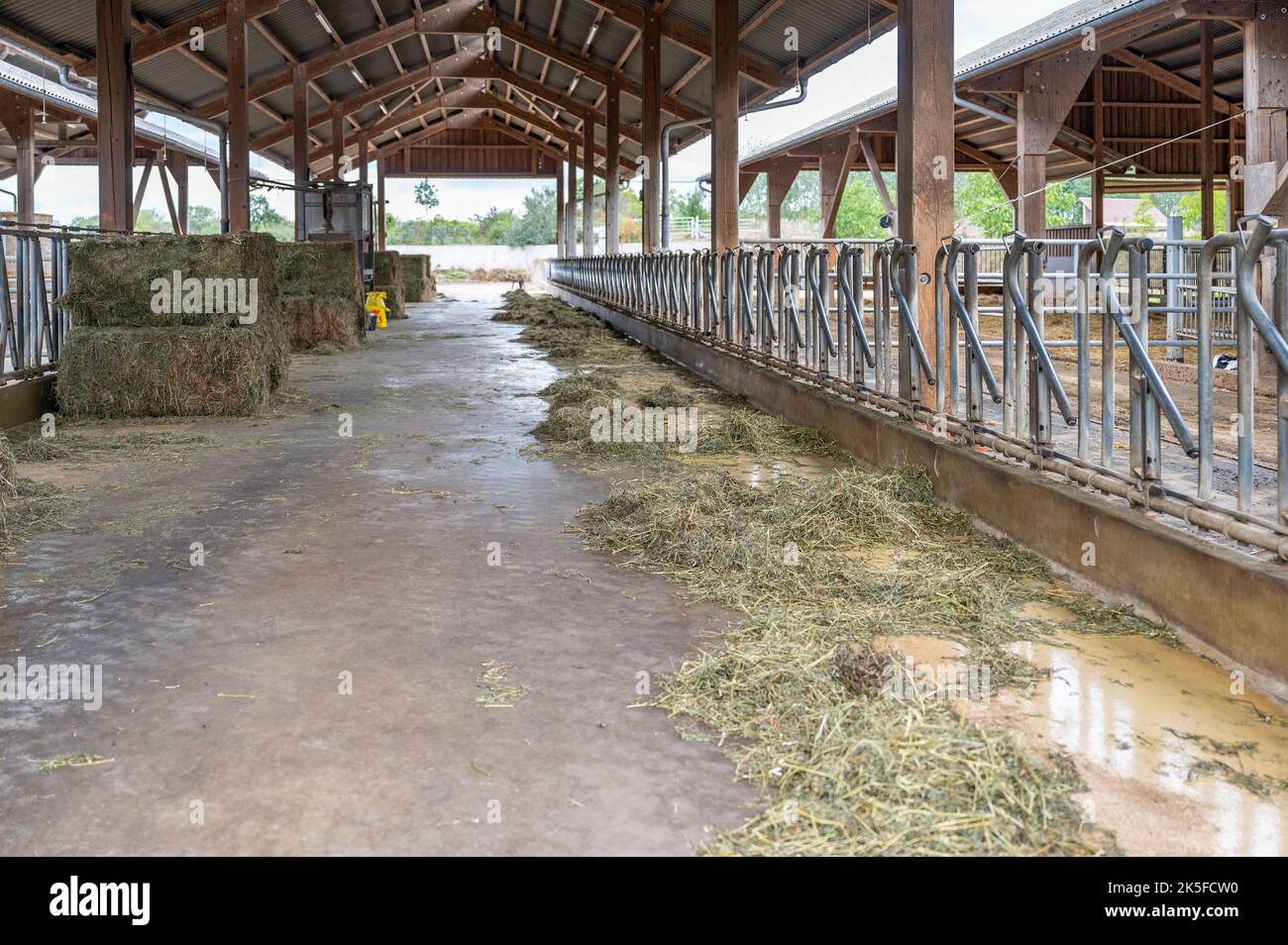 An empty Farm with boxes for cows Stock Photo - Alamy