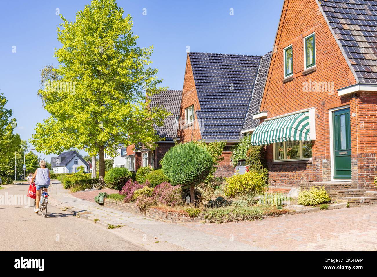 Village view Tolbert with row of houses and trees of small village ...