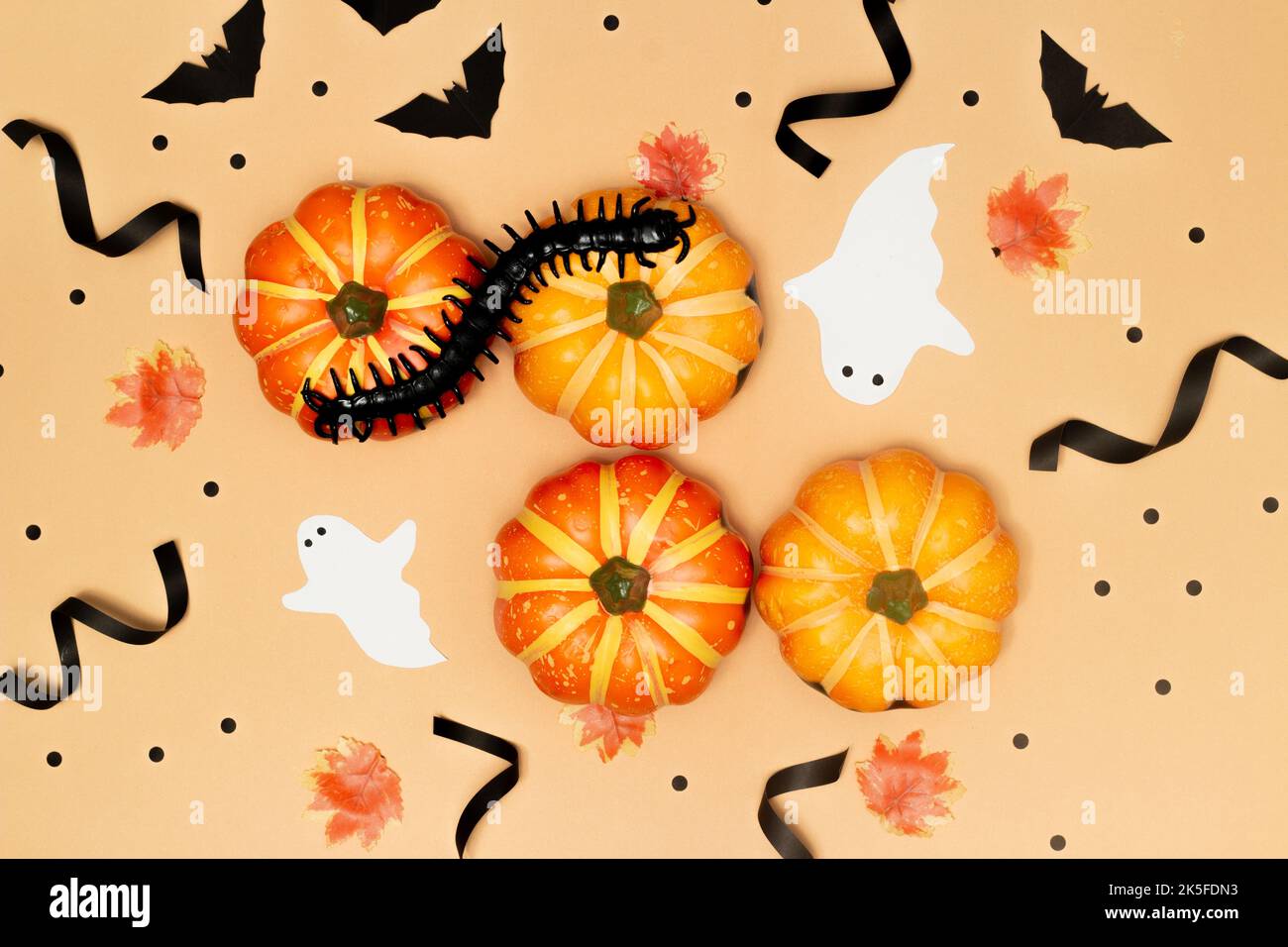 Halloween concept, Centipede on scary smile pumpkins and ghost with ...
