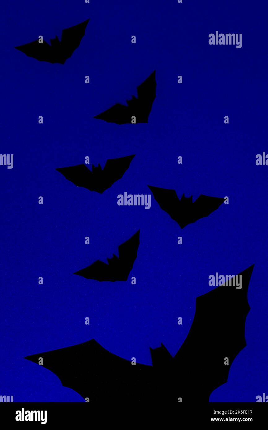 Halloween concept, Silhouette of flying horror big black bat halloween ...