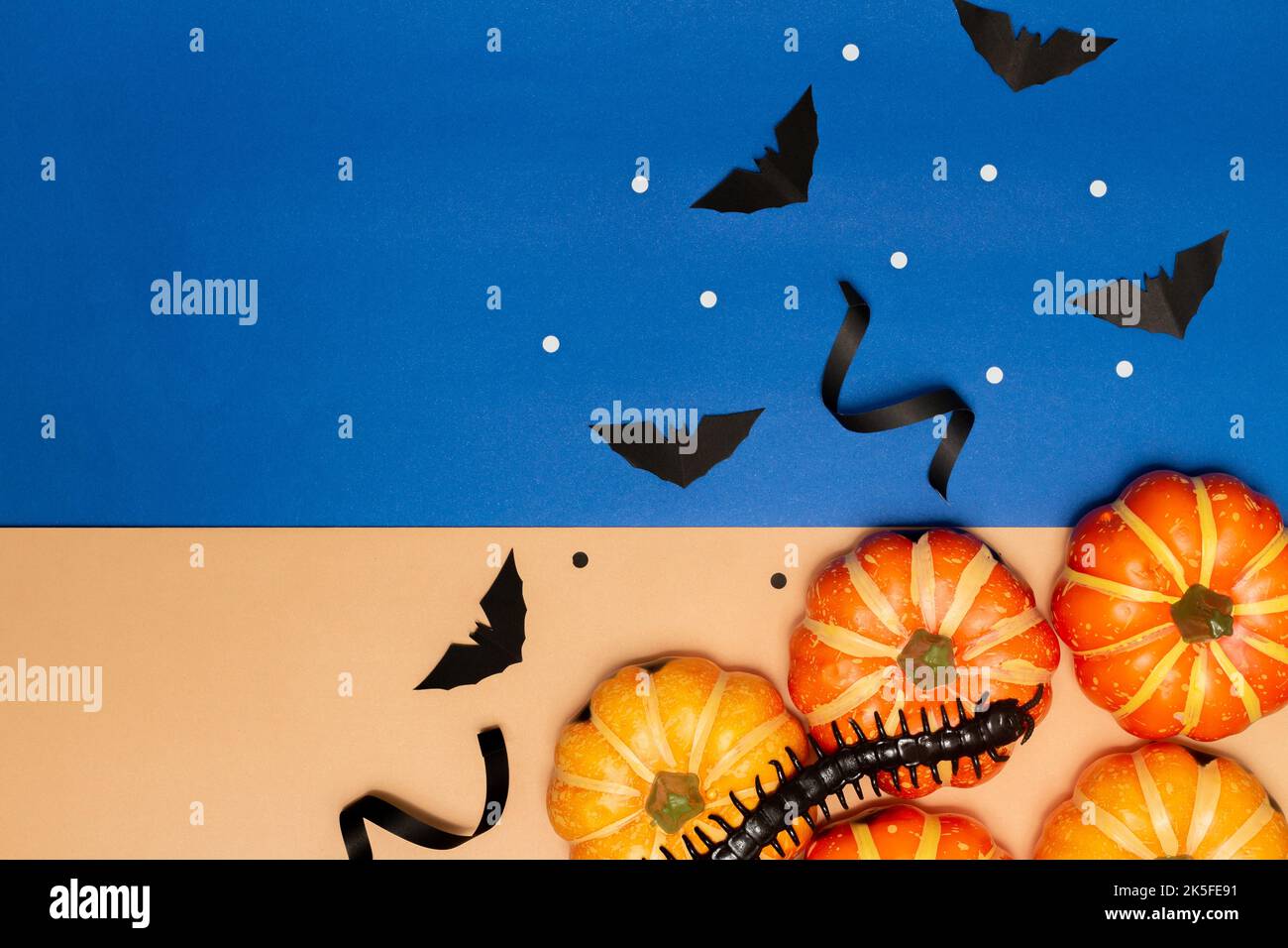 Halloween symbol concept, Centipede on scary smile pumpkins with bats ...