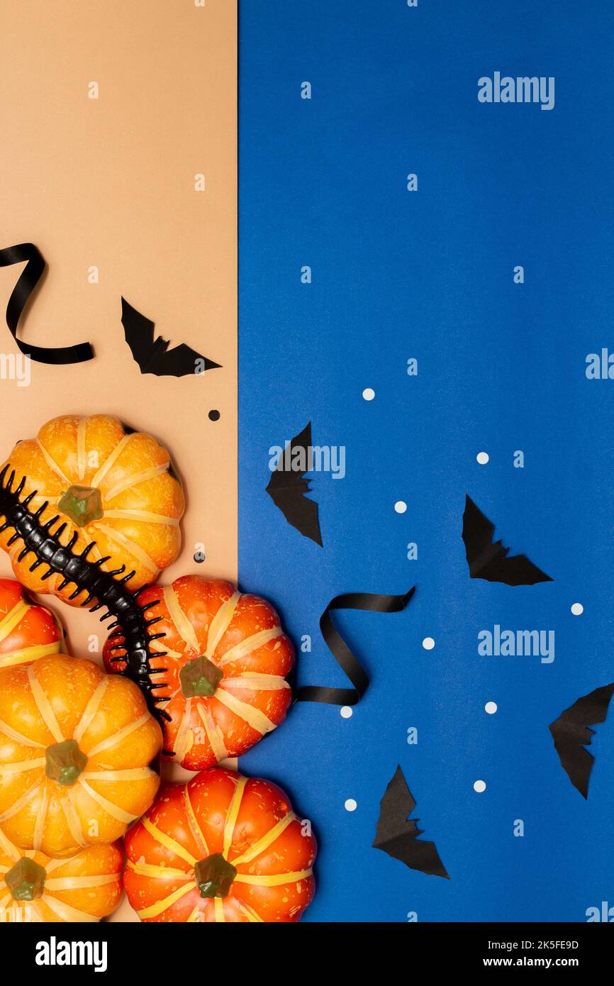 Halloween symbol concept, Centipede on scary smile pumpkins with bats ...