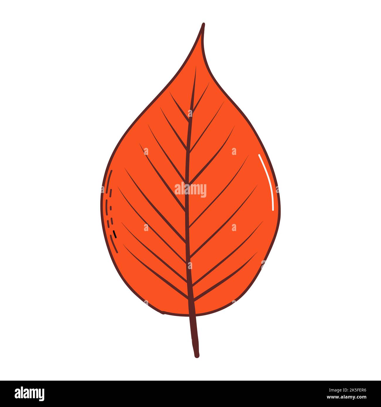 Autumn leaf. Vector illustration in hand drawn style Stock Vector Image ...